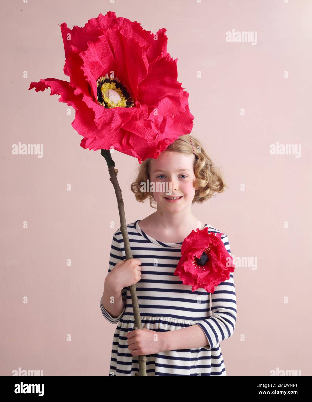 Papercraft Giant Poppy beauty shot Stock Photo - Alamy