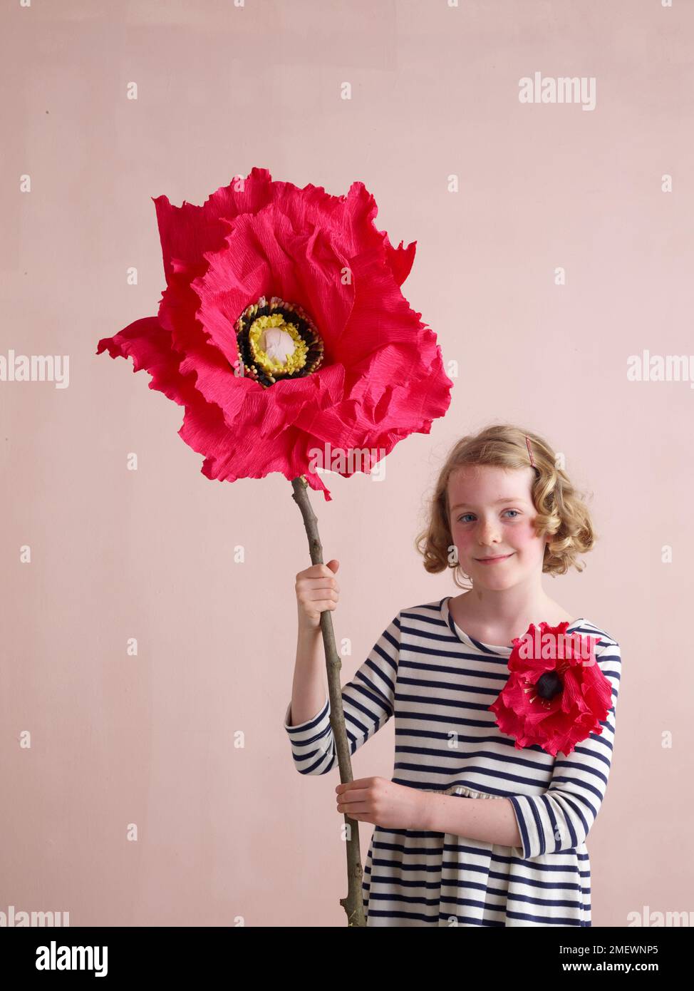 Papercraft Giant Poppy beauty shot Stock Photo - Alamy