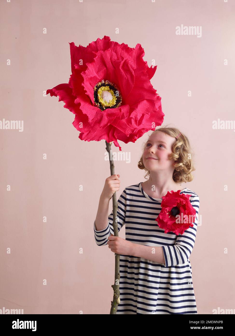 Papercraft Giant Poppy beauty shot Stock Photo - Alamy