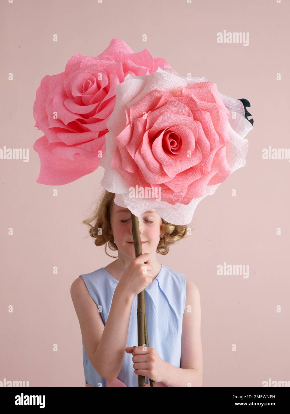 Papercraft Giant rose beauty shot Stock Photo - Alamy