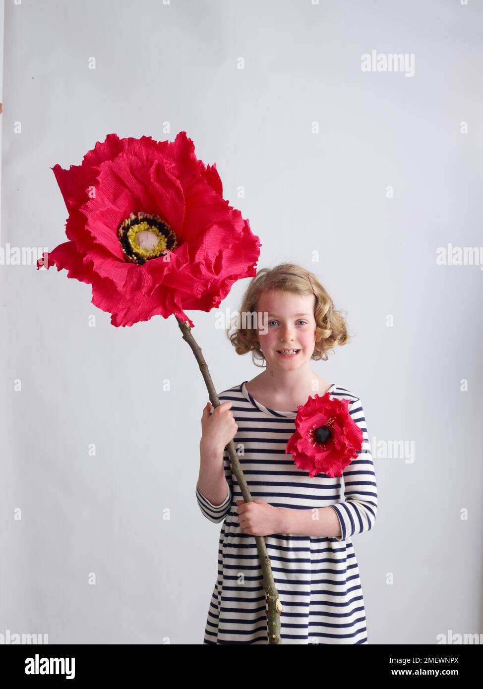 Papercraft Giant Poppy beauty shot Stock Photo - Alamy