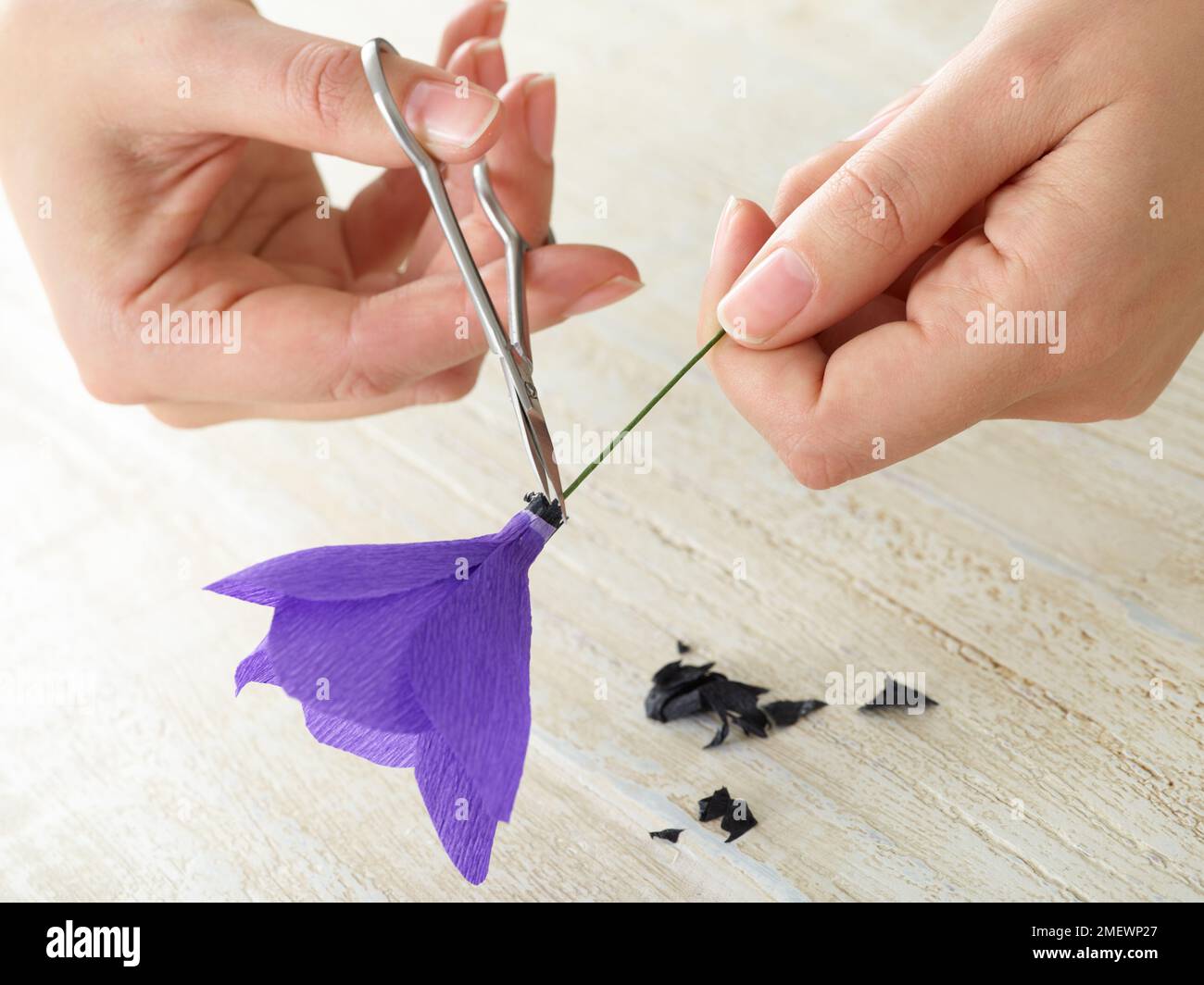 Papercraft Paper Anemone steps Stock Photo - Alamy