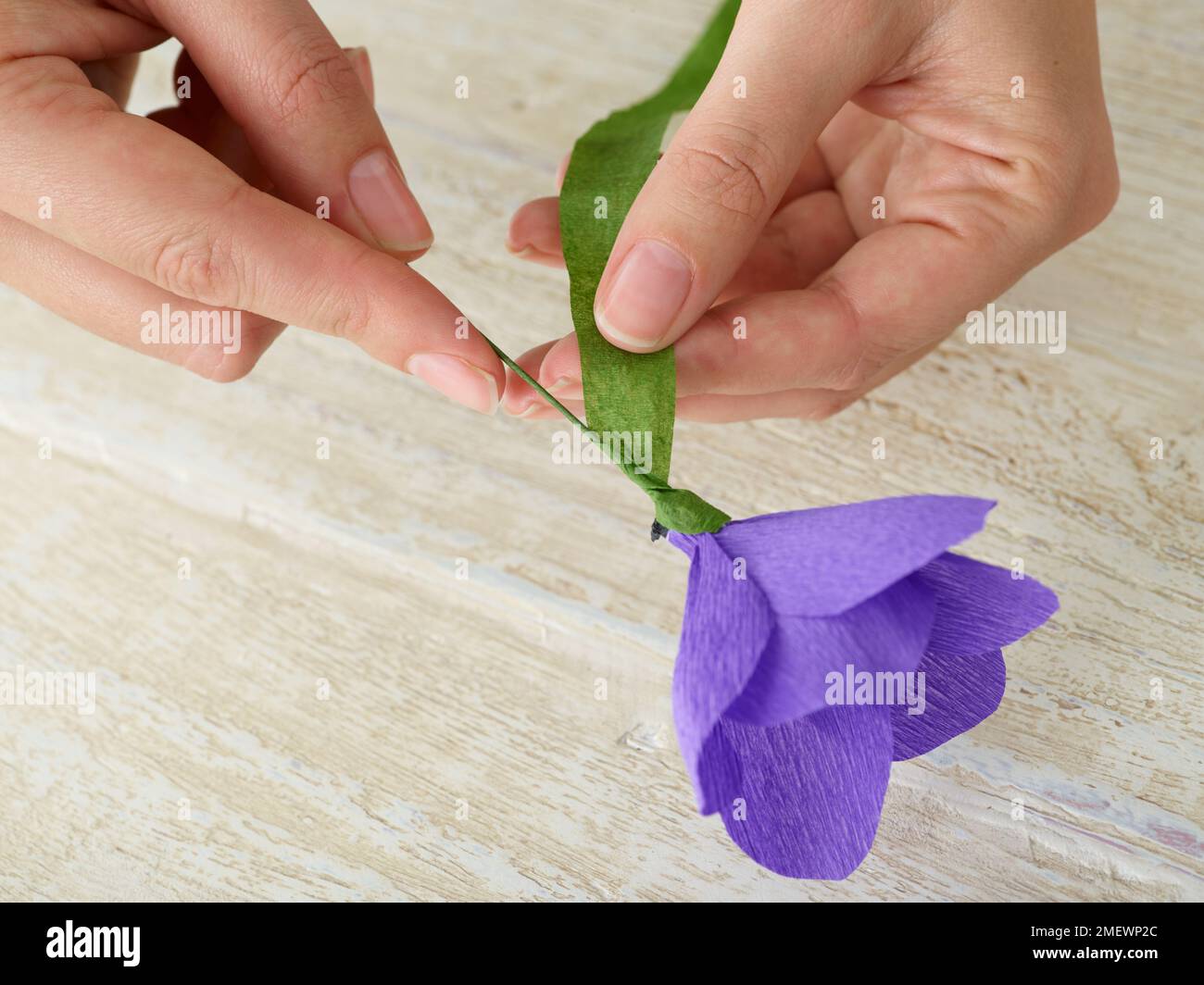 Papercraft Paper Anemone steps Stock Photo - Alamy