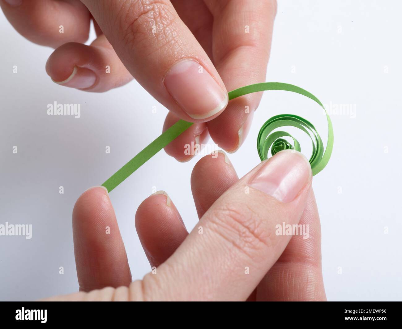 Papercraft Quilling steps Stock Photo - Alamy