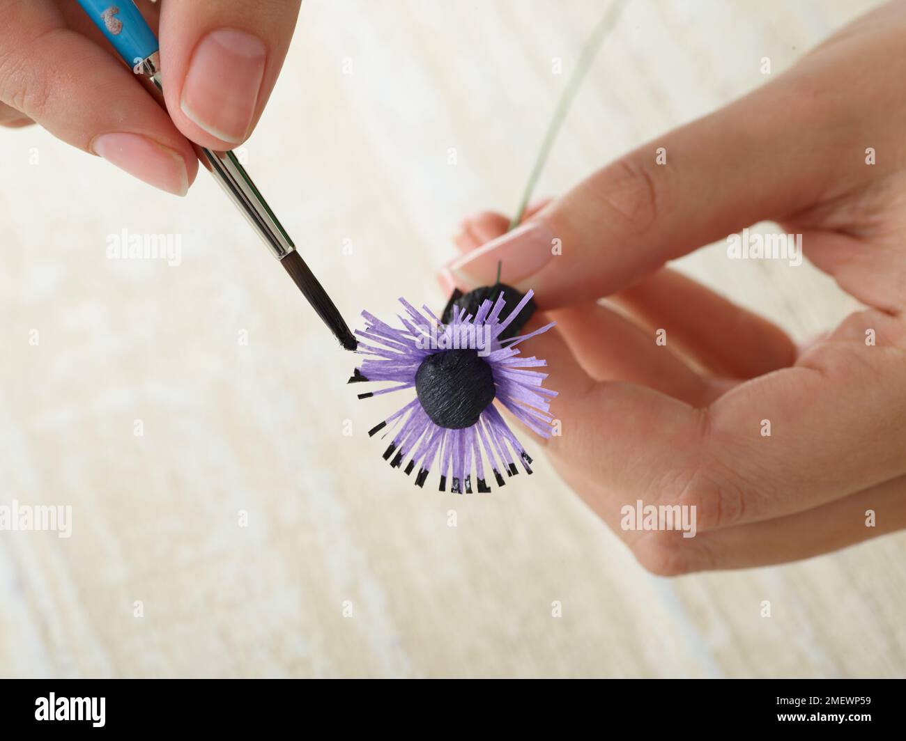 Papercraft Paper Anemone steps Stock Photo - Alamy