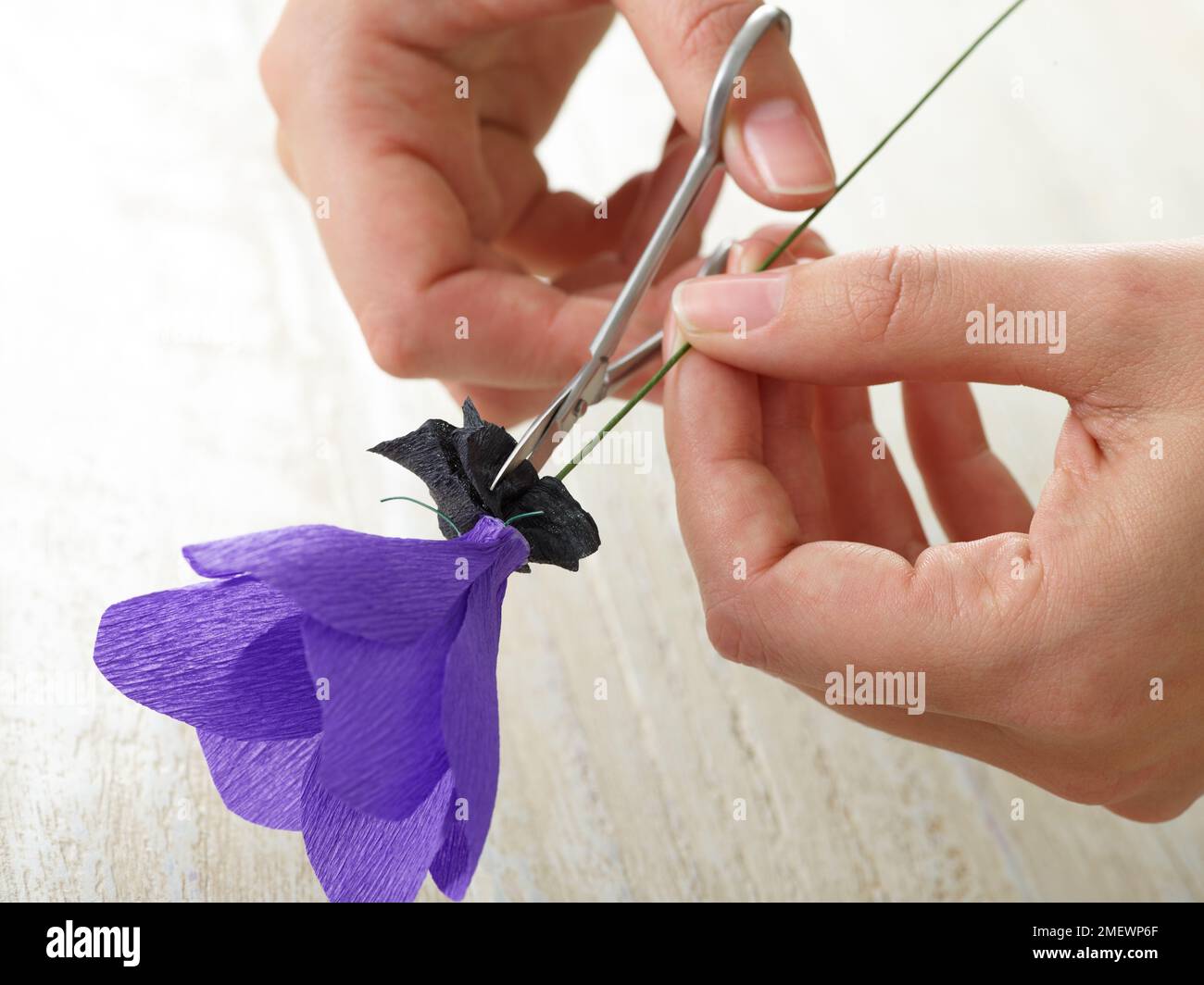 Papercraft Paper Anemone steps Stock Photo - Alamy