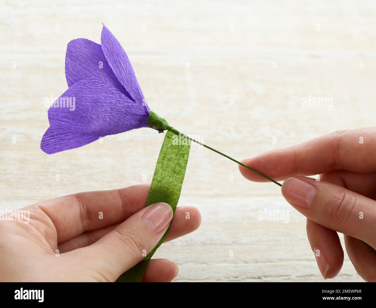 Papercraft Paper Anemone steps Stock Photo - Alamy