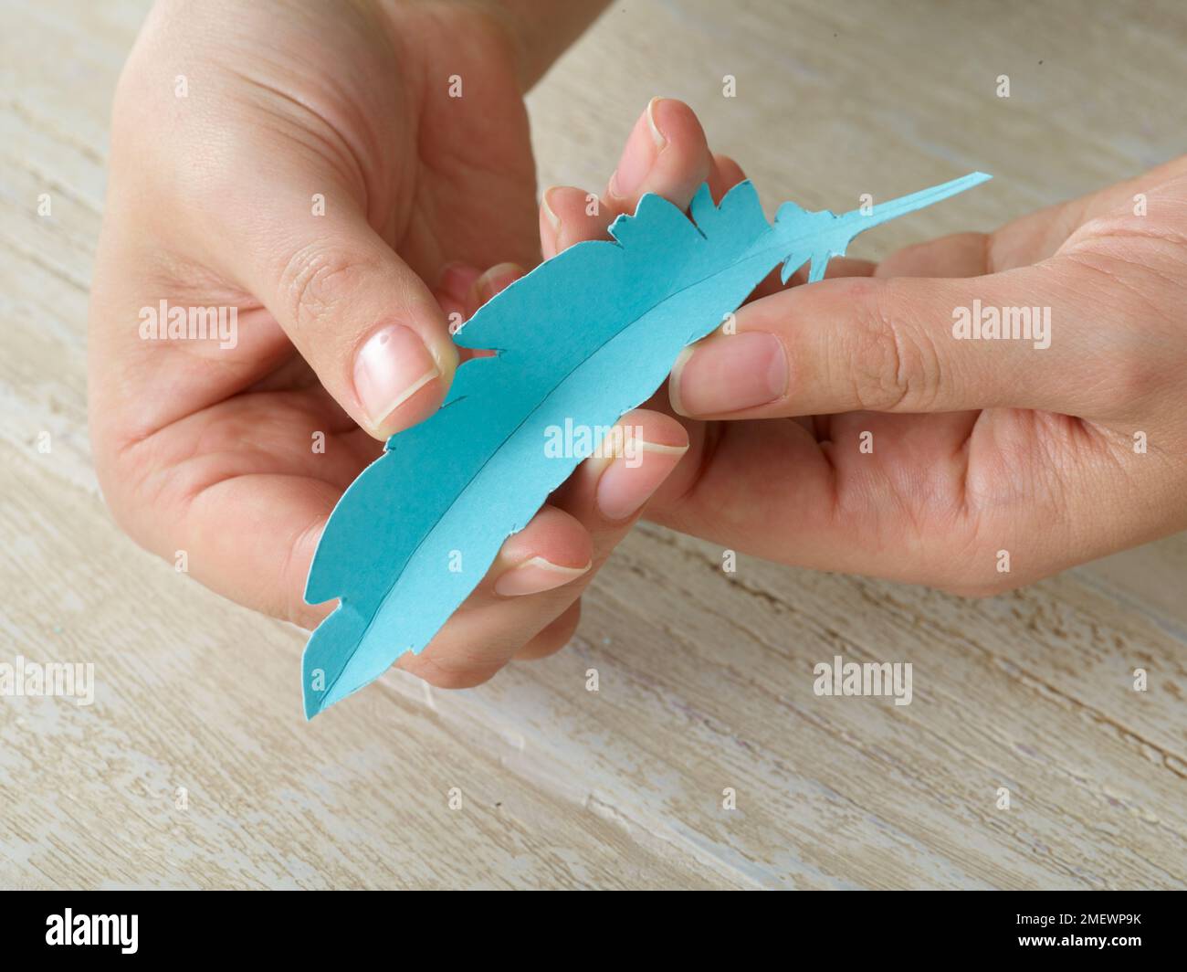 Papercraft Paper feather gift wrap Stock Photo - Alamy