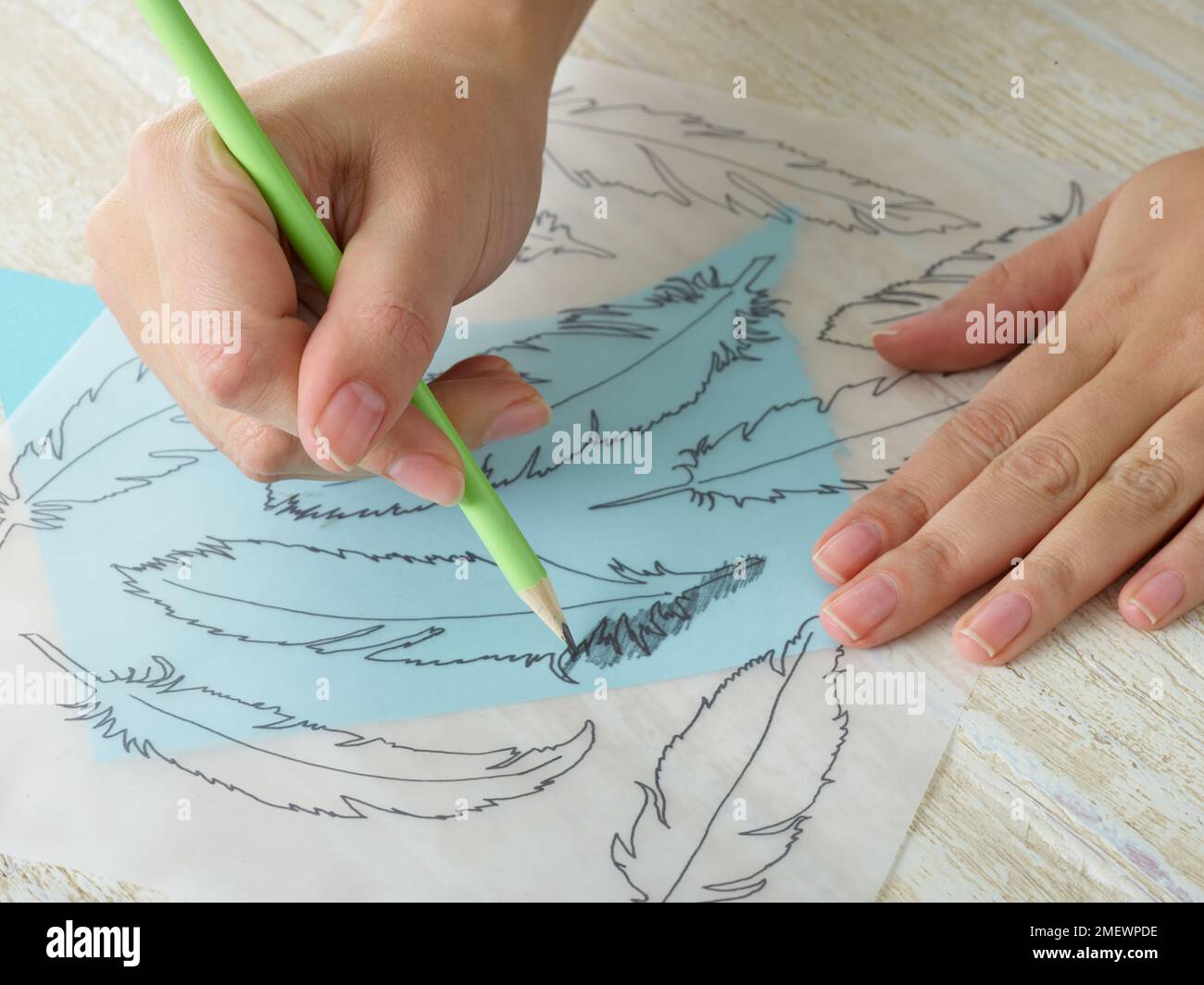 Papercraft Paper feather gift wrap Stock Photo - Alamy