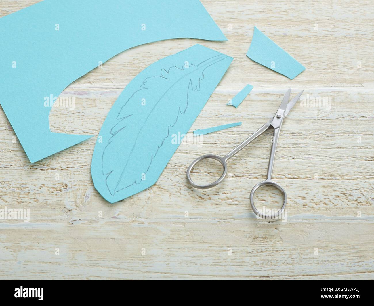 Papercraft Paper feather gift wrap Stock Photo - Alamy