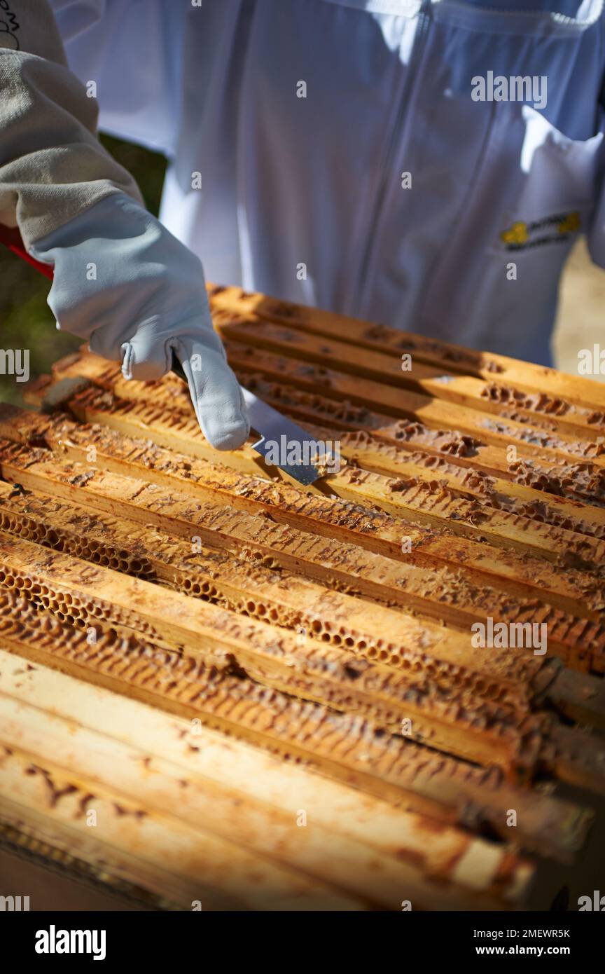 Old frames hi-res stock photography and images - Alamy