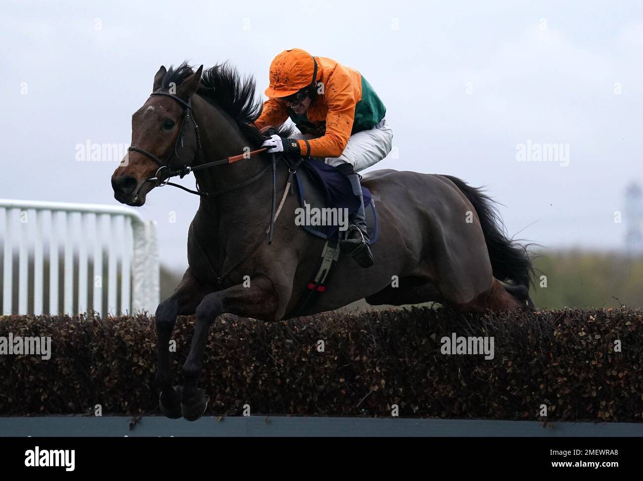 Blenkinsop horse hi-res stock photography and images - Alamy