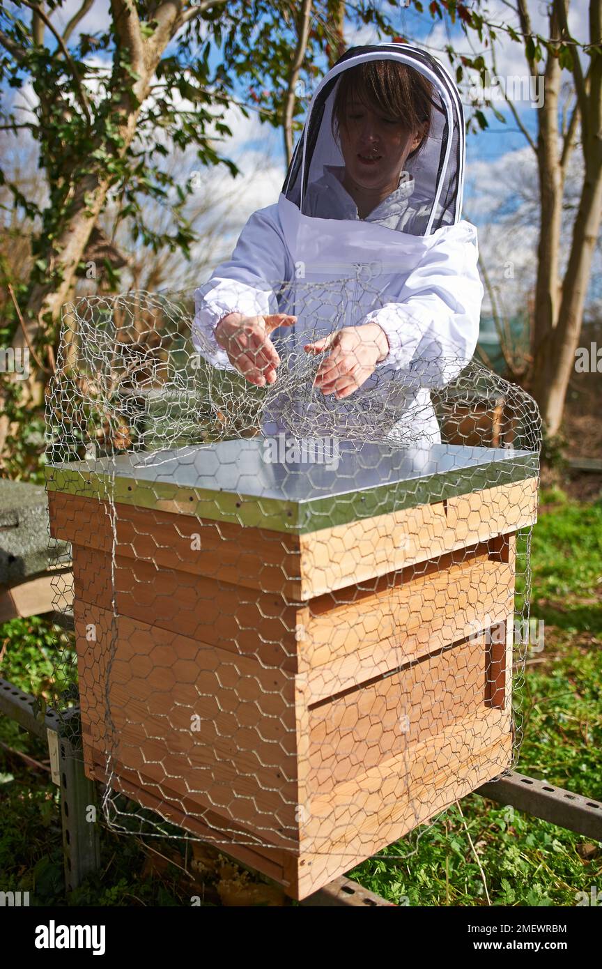 Pollen storage hi-res stock photography and images - Alamy