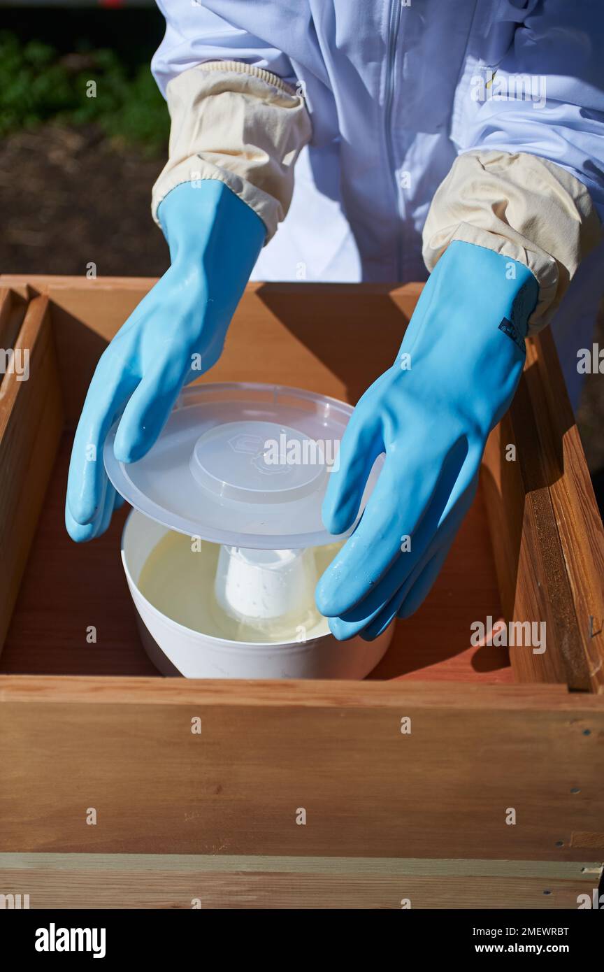 Pollen storage hi-res stock photography and images - Alamy