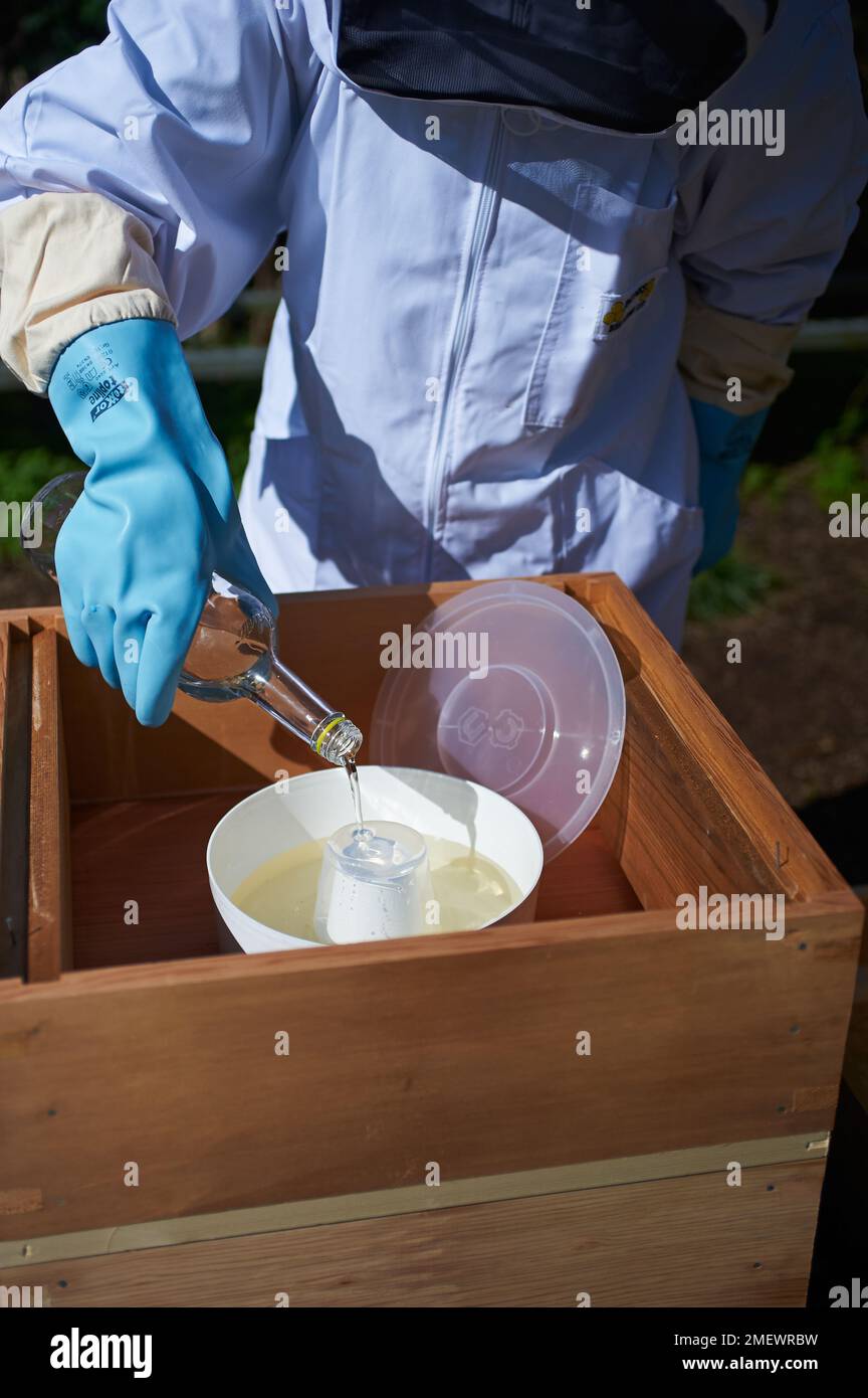 Pollen storage hi-res stock photography and images - Alamy