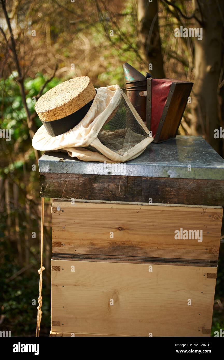Beekeeping bee hi-res stock photography and images - Alamy