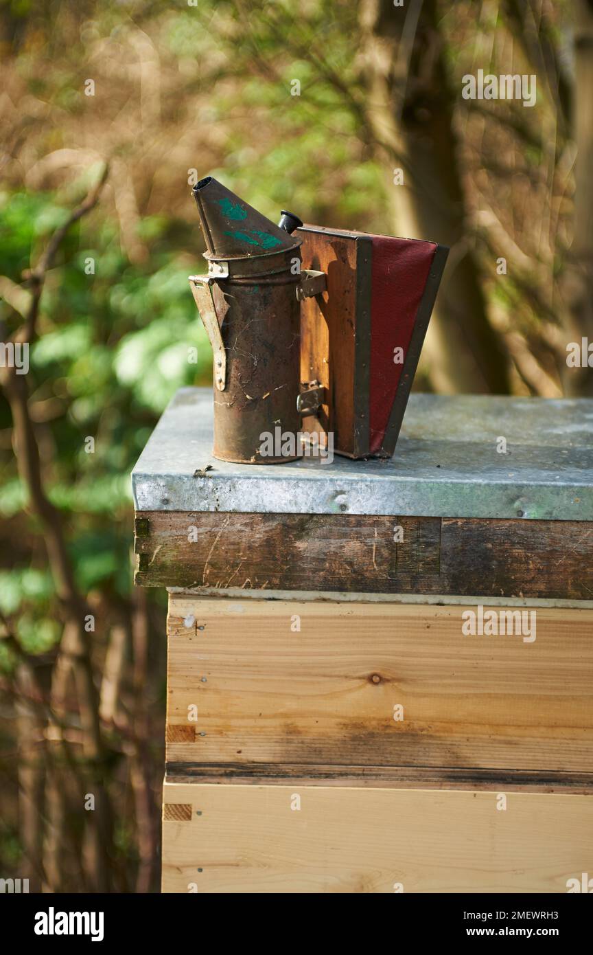 Beekeeping bee hi-res stock photography and images - Alamy