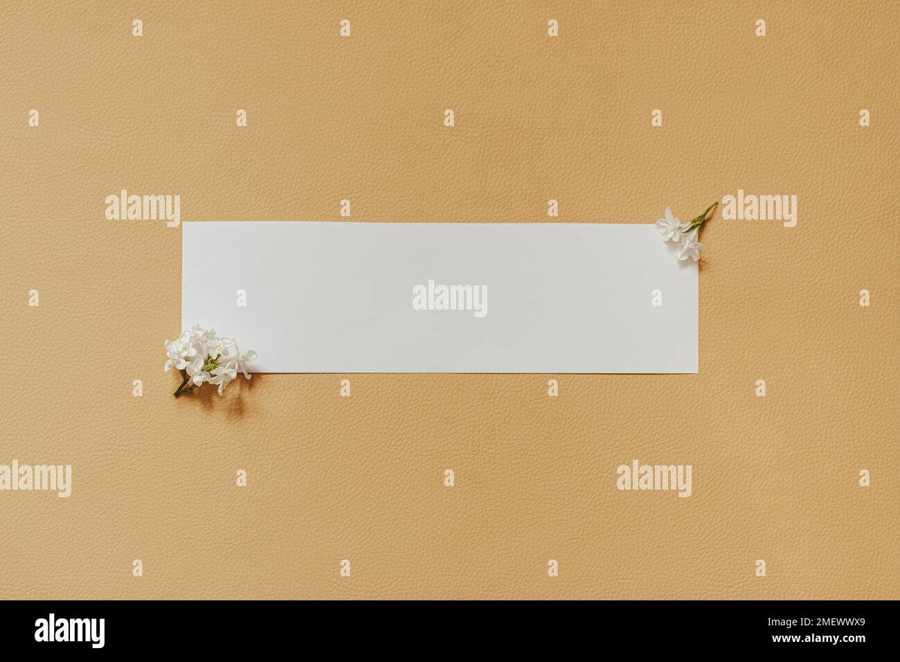 lilac flowers with white card. Creative congratulations layout from ...