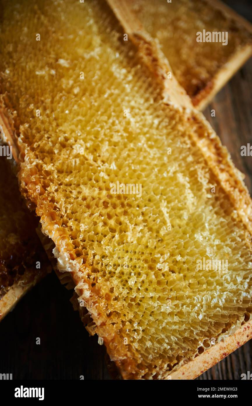 Bee Book Making Honey Page 178 Stock Photo - Alamy