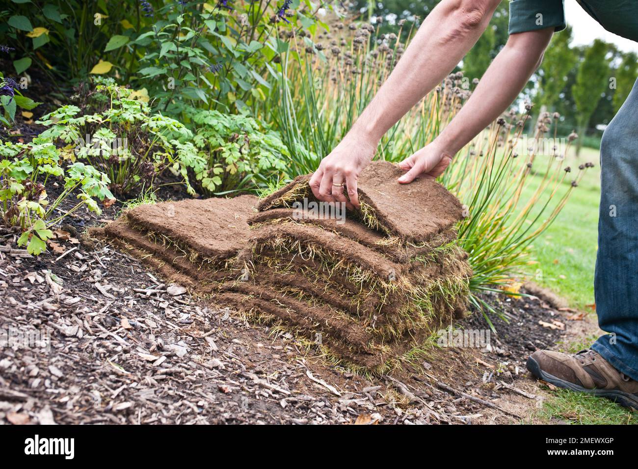 Bee bank steps hi-res stock photography and images - Alamy