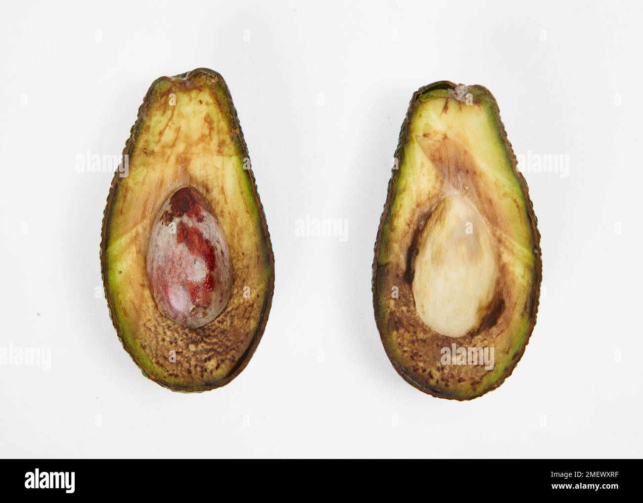 Fruits cut in half hi-res stock photography and images - Alamy