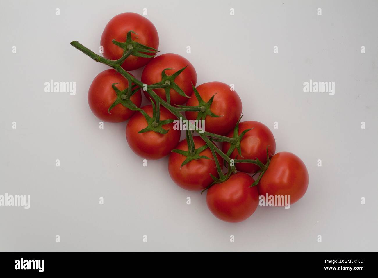 Vine tomatoes on display Stock Photo - Alamy