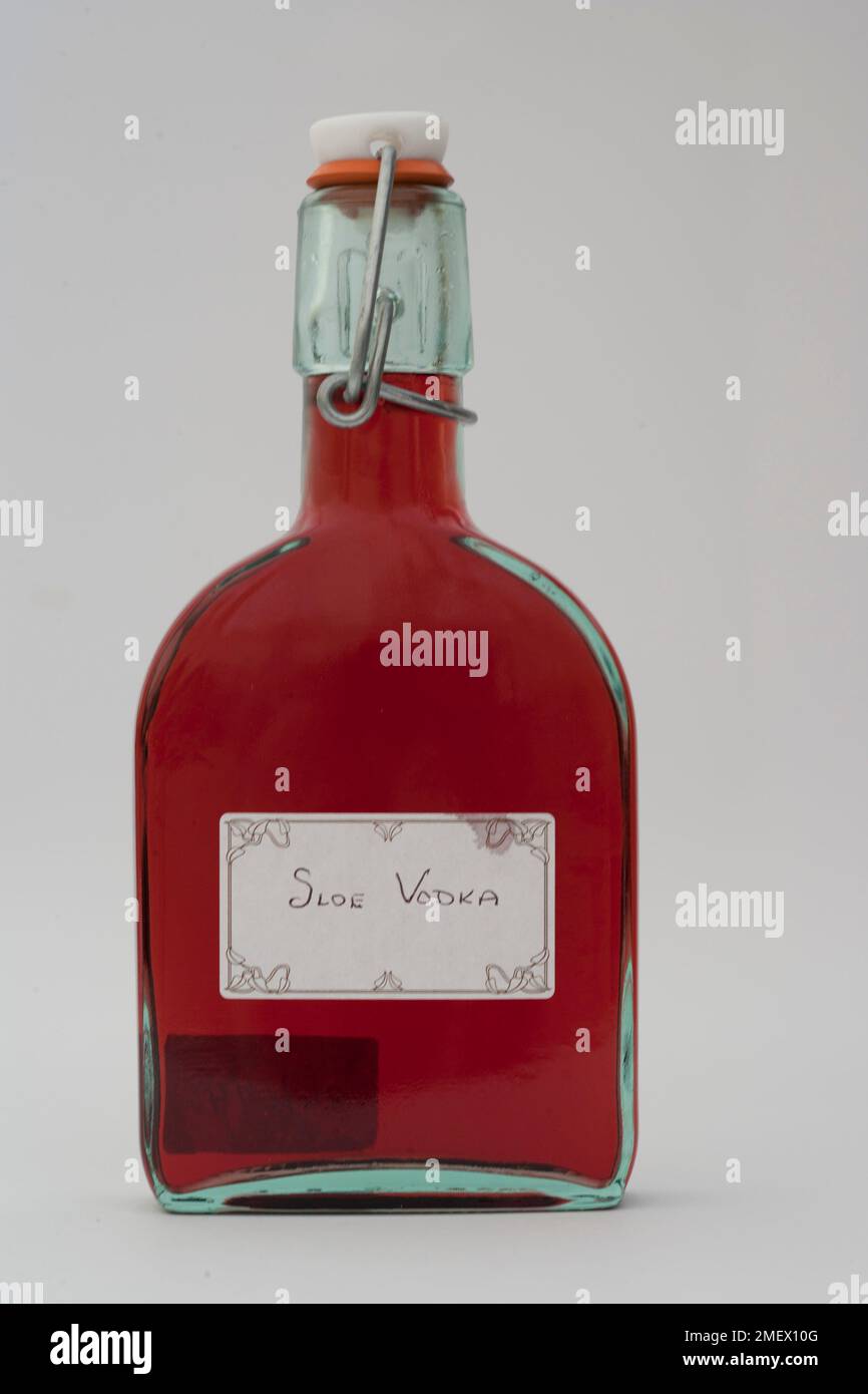 Homemade sloe vodka Stock Photo - Alamy