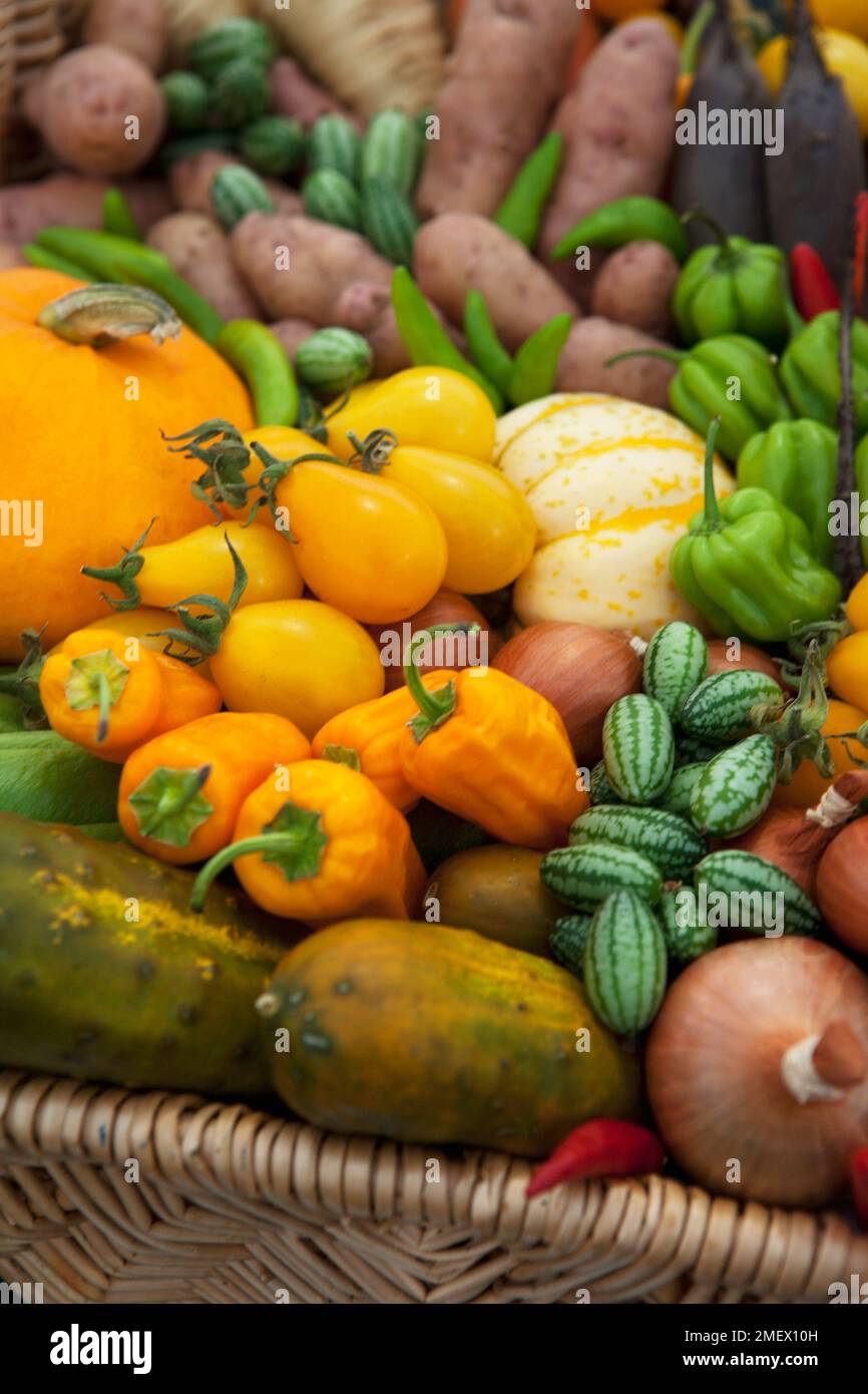 Fresh produce on display at a village fair Stock Photo - Alamy