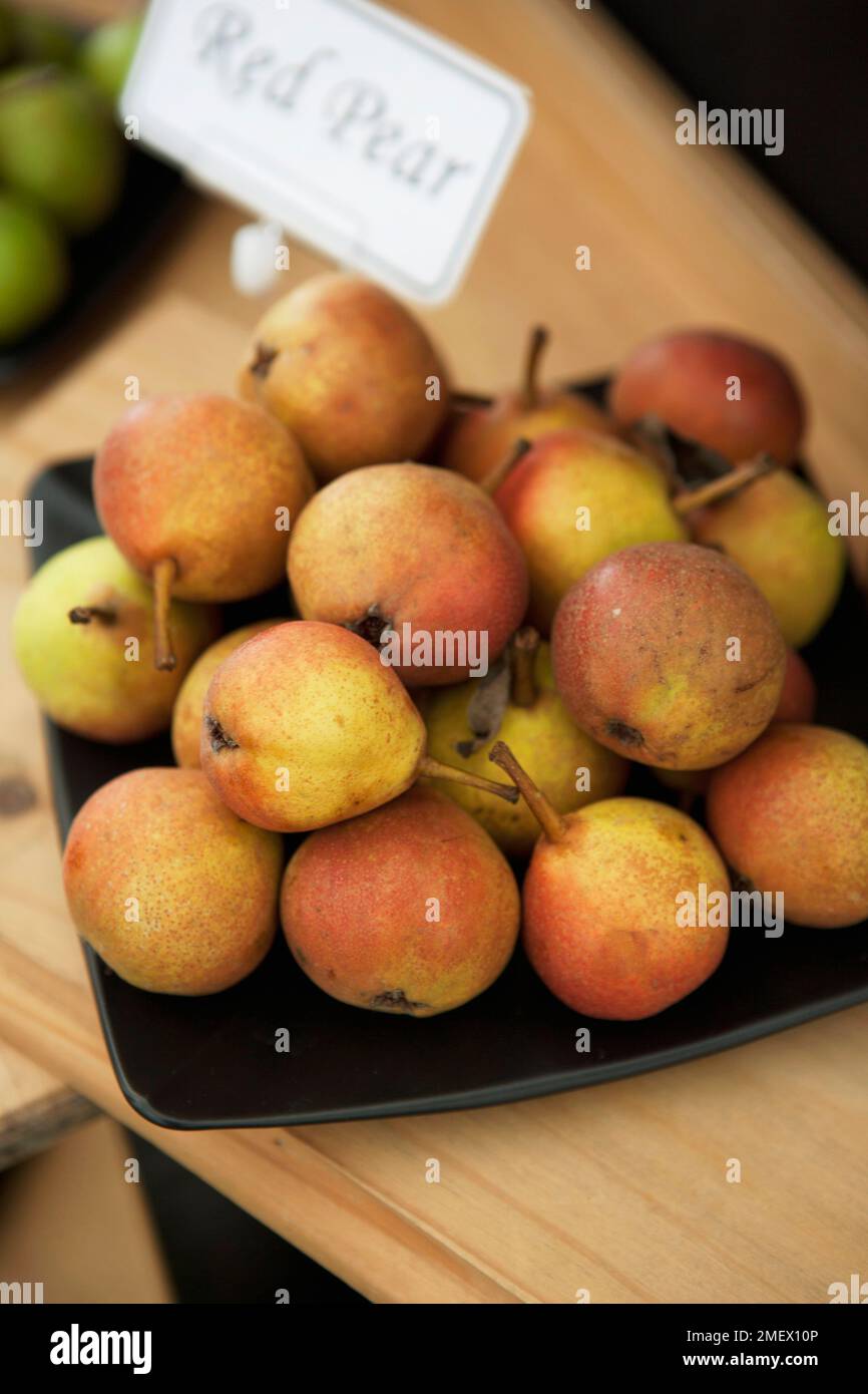 Pear varieties on display at a village fair Stock Photo - Alamy