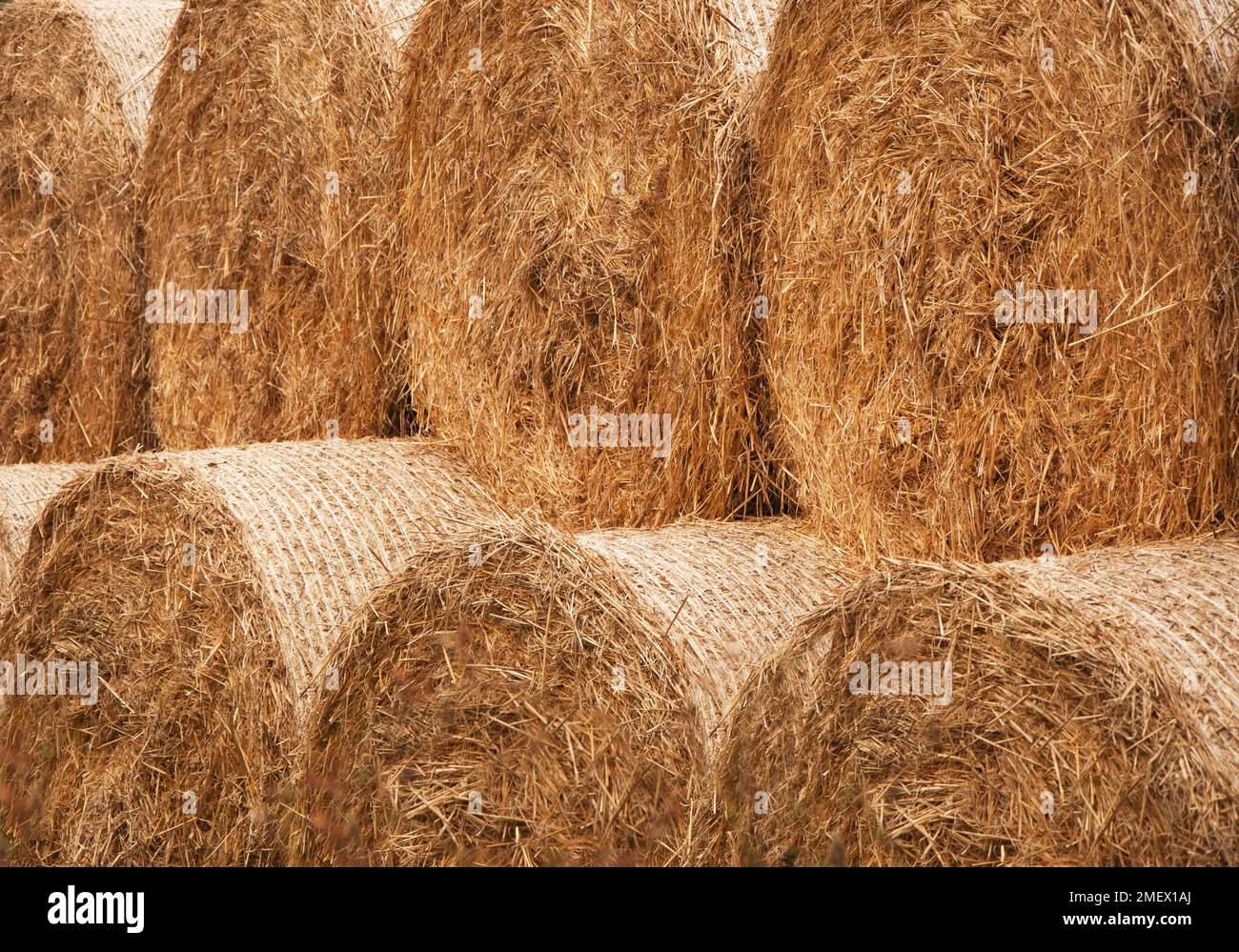 M4 sherman hi-res stock photography and images - Alamy