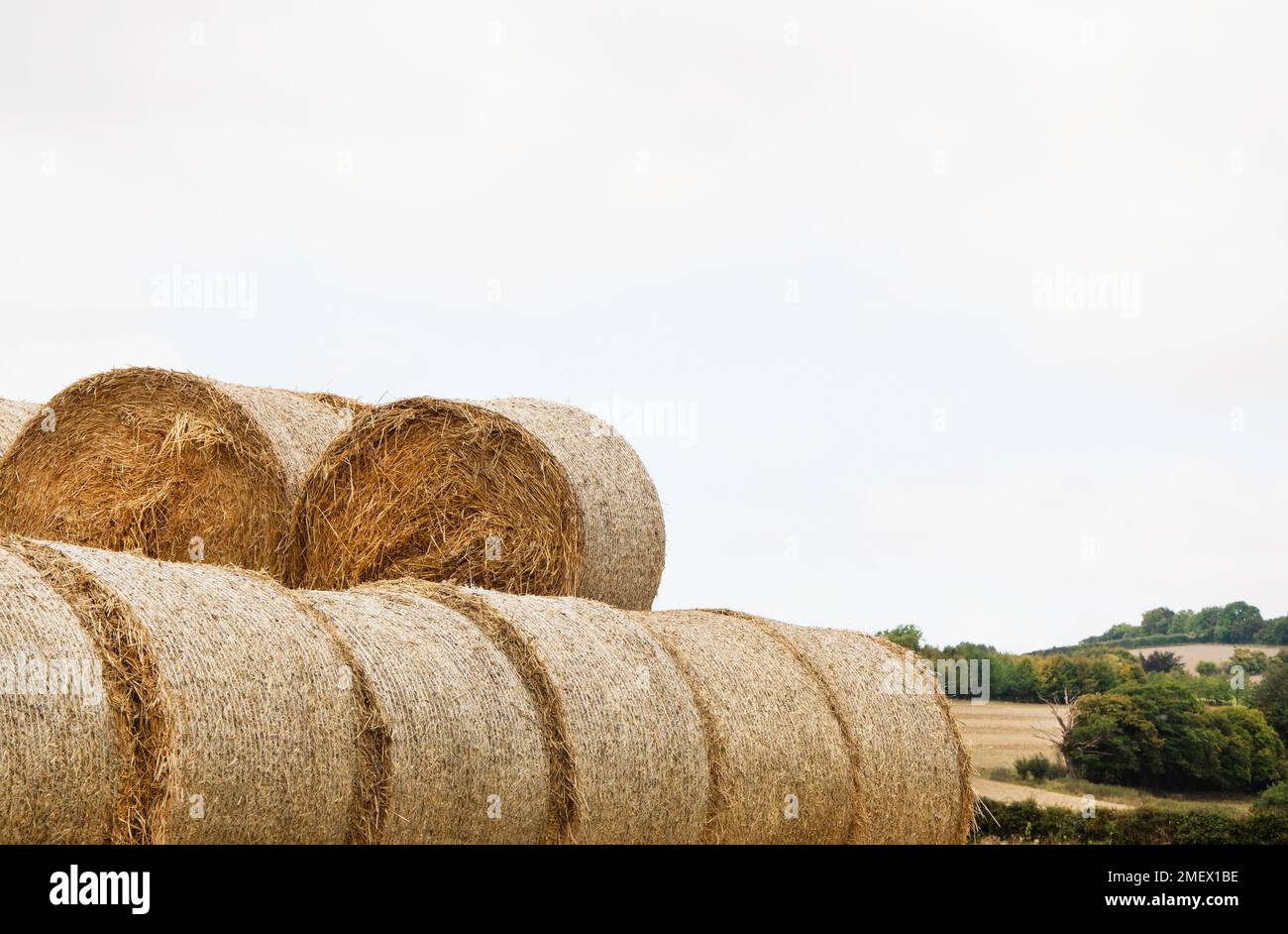 M4 sherman hi-res stock photography and images - Alamy