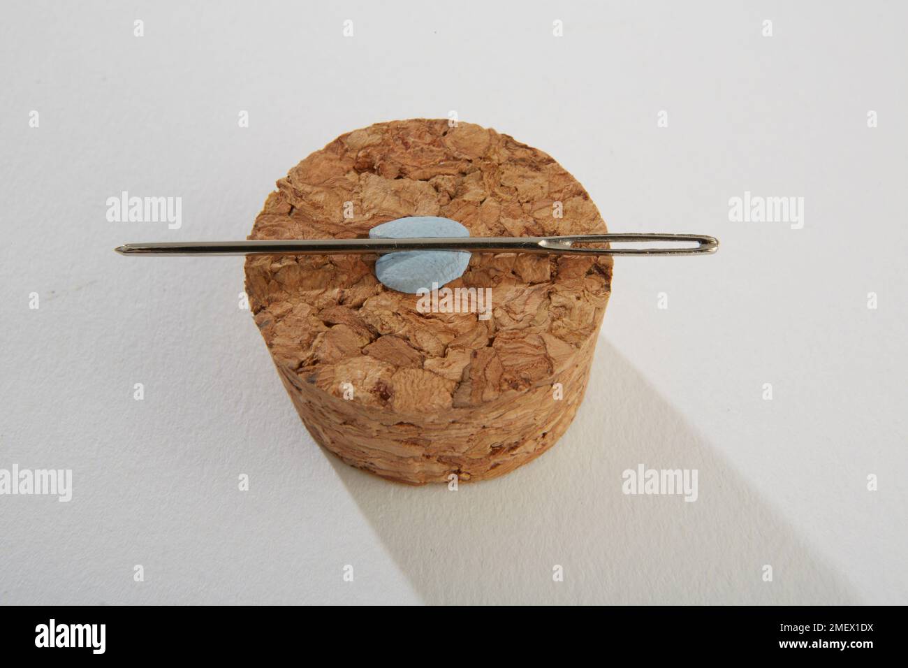 Creating a compass with a needle and cork Stock Photo - Alamy