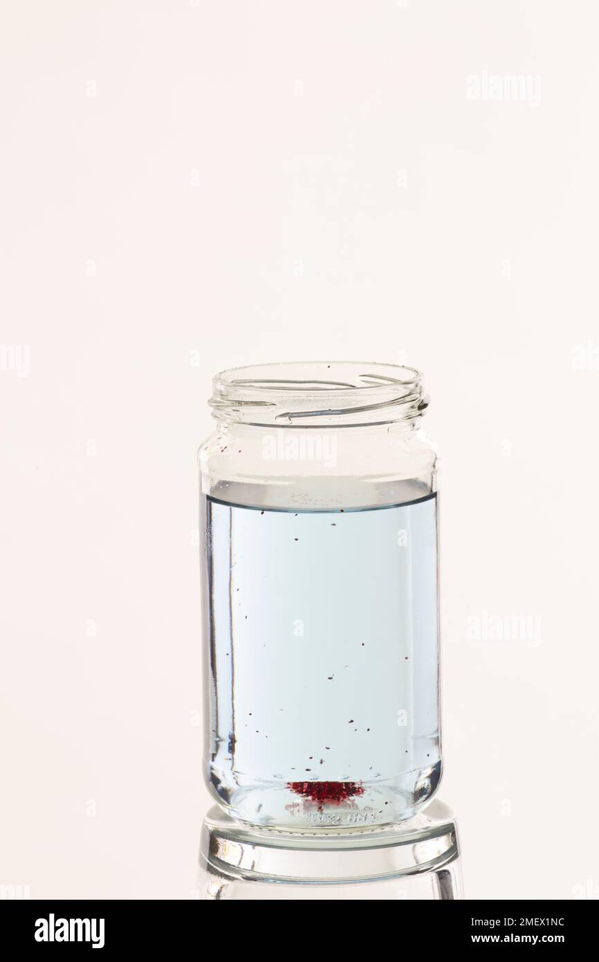 Particles in water in a glass jar Stock Photo - Alamy
