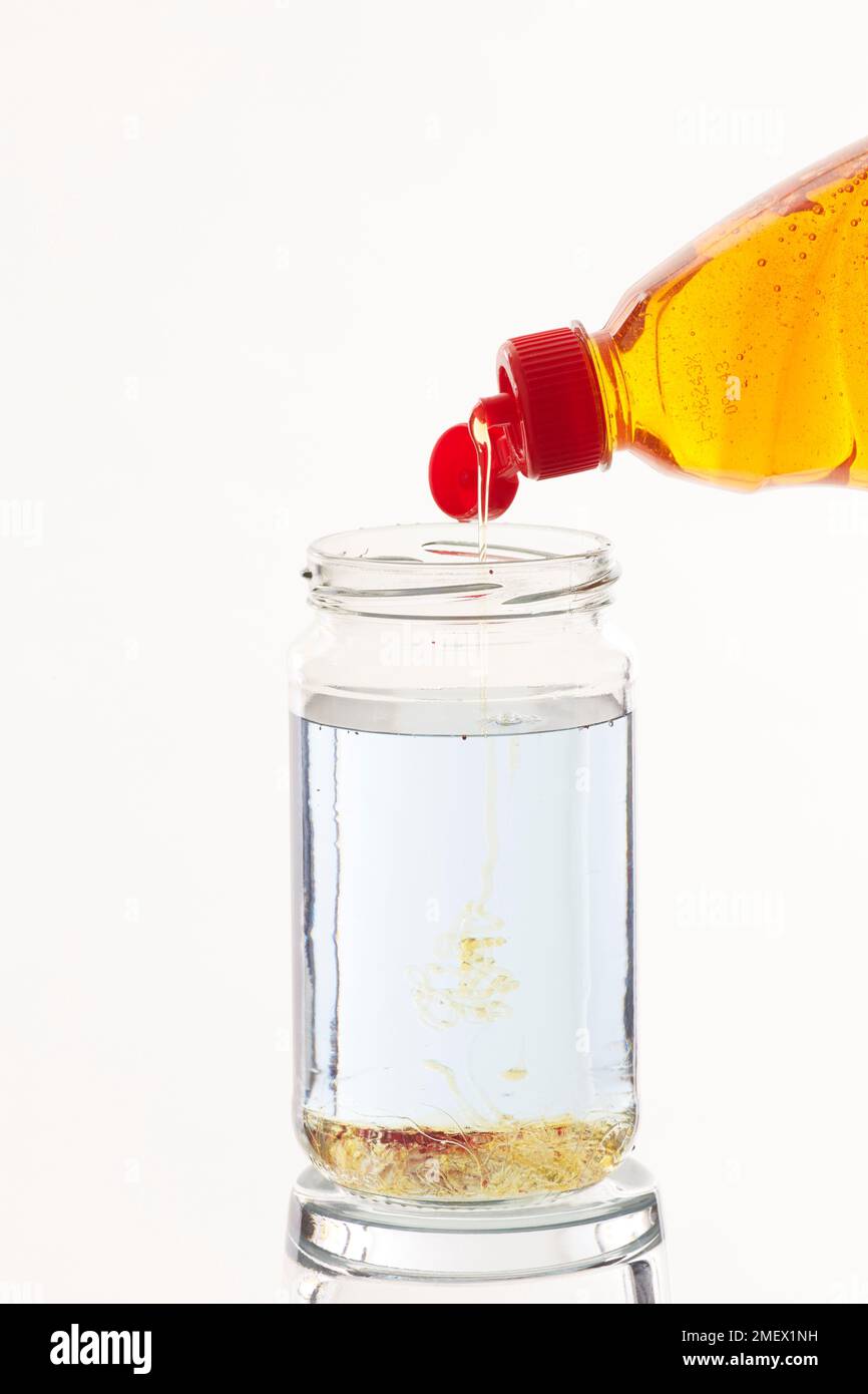Washing up liquid being poured into a glass jar Stock Photo - Alamy