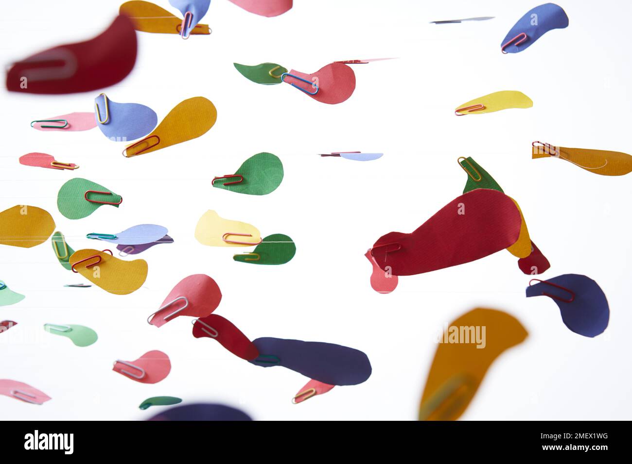 Sycamore seed helicopters made from paper Stock Photo - Alamy