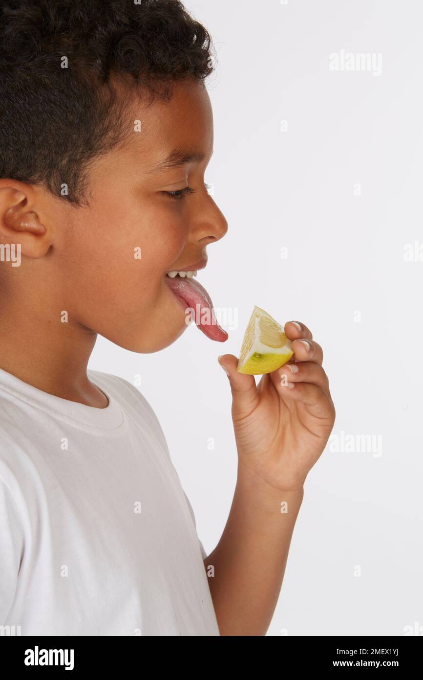 A lemon wedge is used as part of a taste test. Model age 8 Stock Photo ...