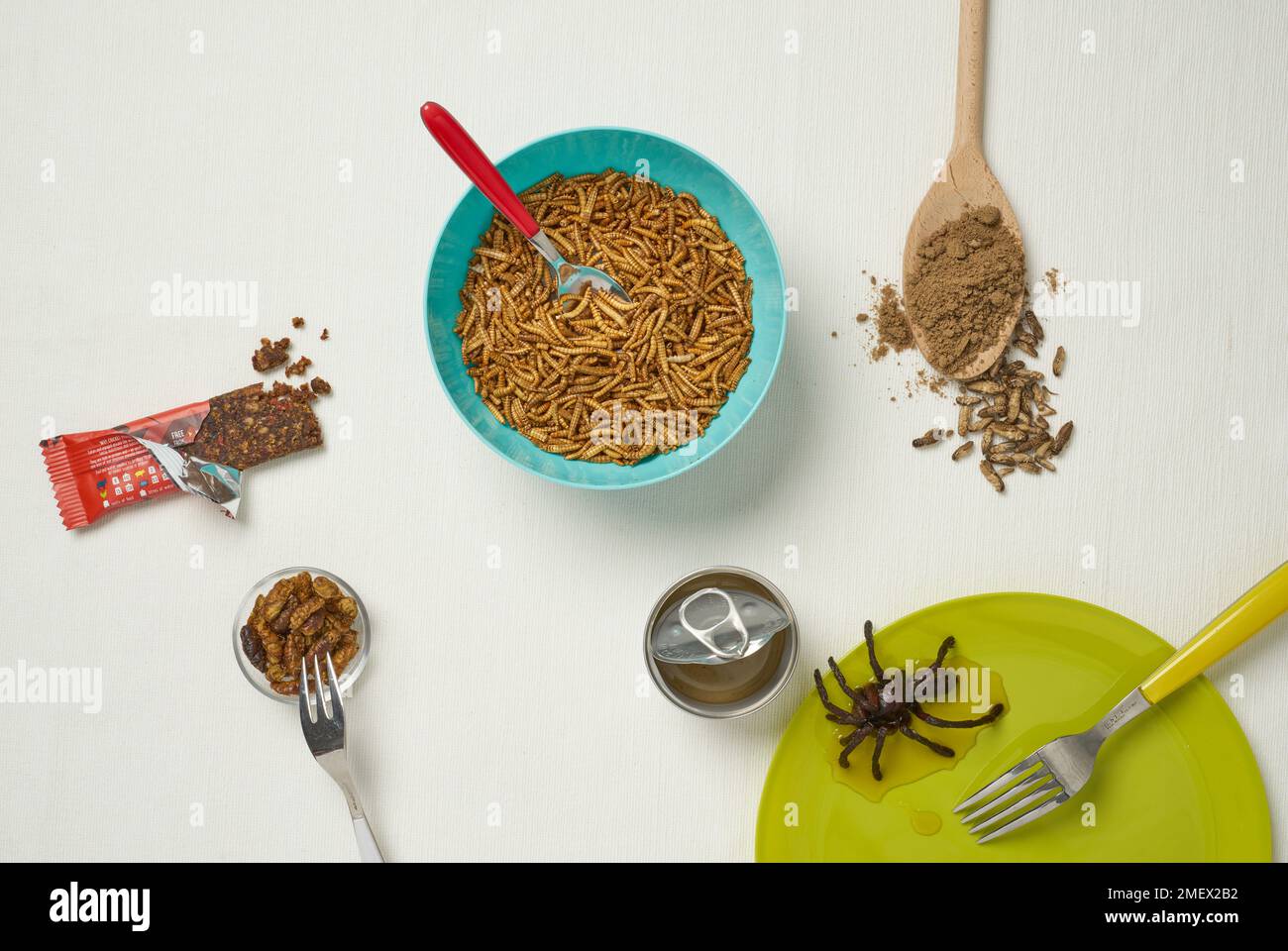 Eating insects (scene Stock Photo - Alamy