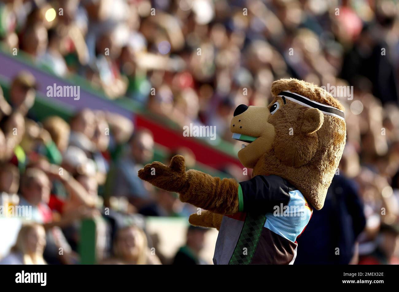 File photo dated 29-10-2022 of Harlequins mascot Harley Bear. Rugby ...