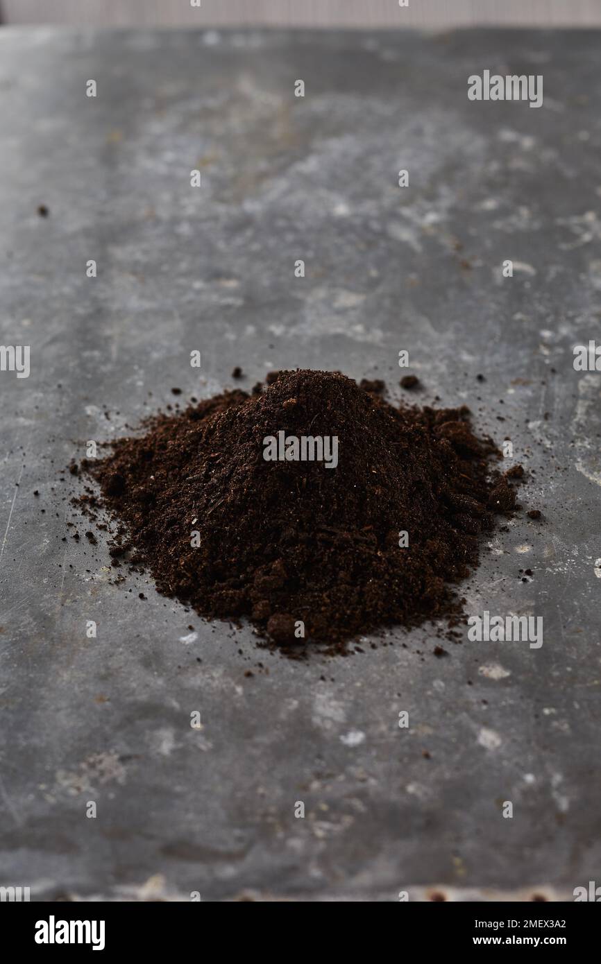 Seed and cutting compost Stock Photo - Alamy