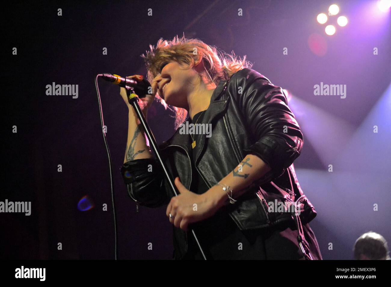The Sounds in concert from Webster Hall in New York Stock Photo - Alamy