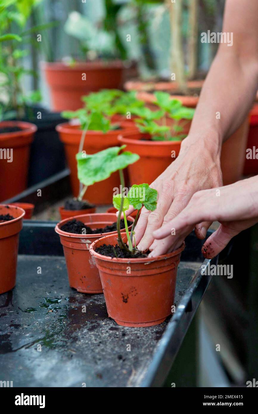 Prep the soil hi-res stock photography and images - Alamy