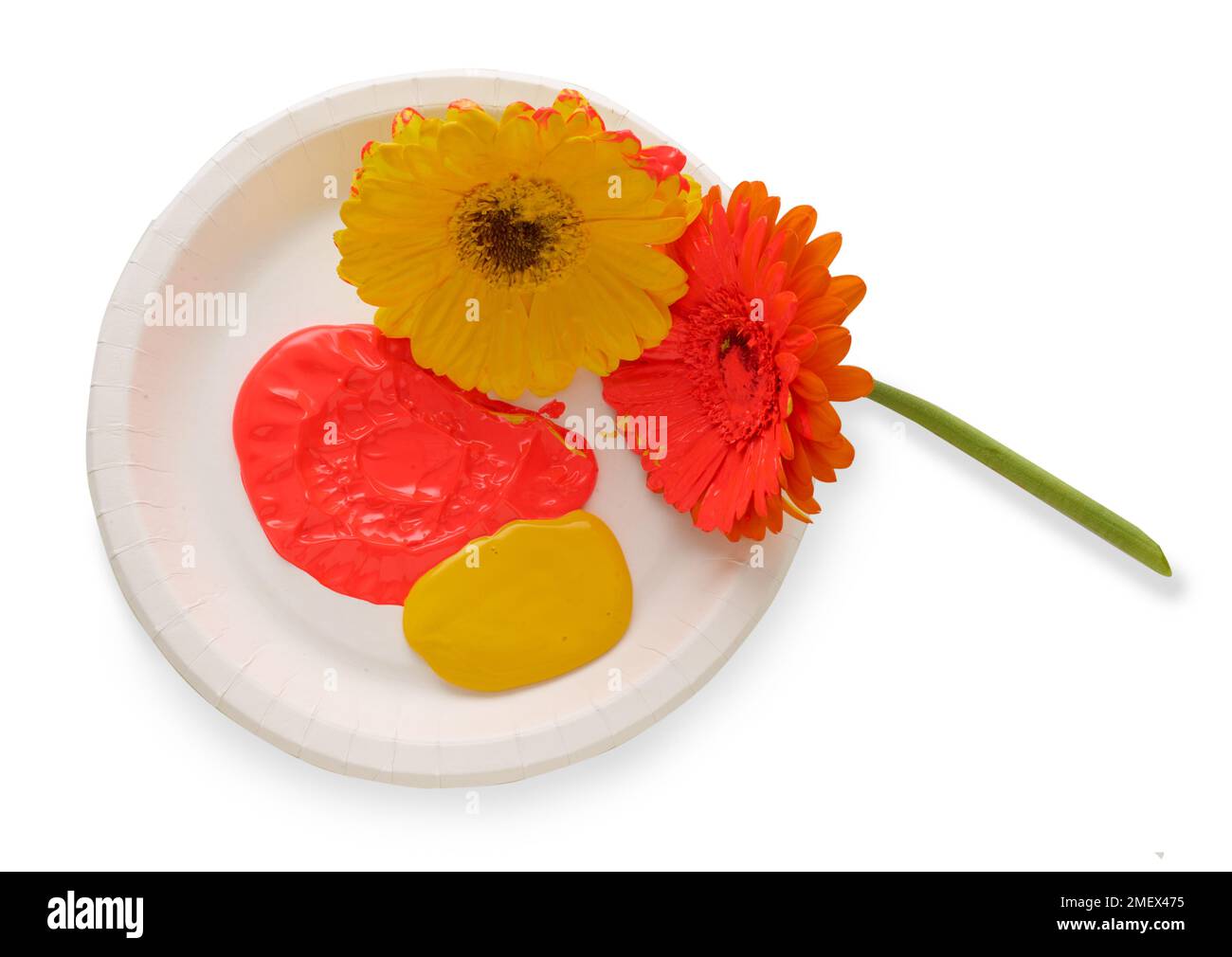 Image printing hi-res stock photography and images - Alamy