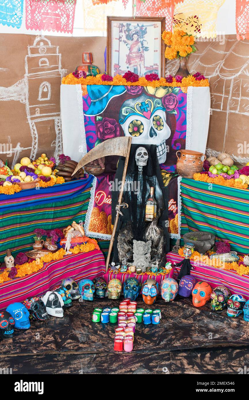 A skeleton holding a scythe and alcohol surrounded by colourful ...