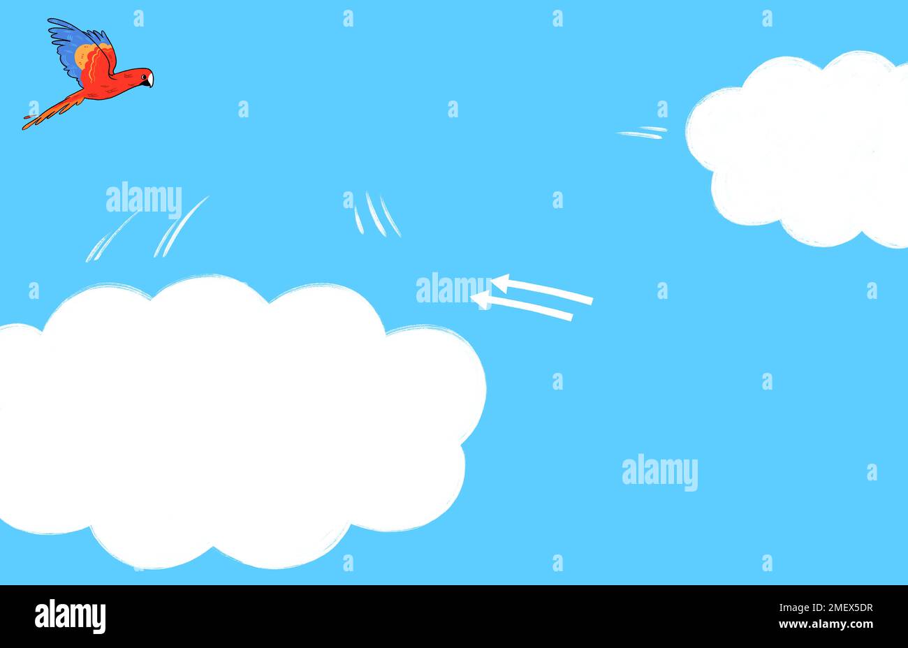 Planes birds hi-res stock photography and images - Alamy