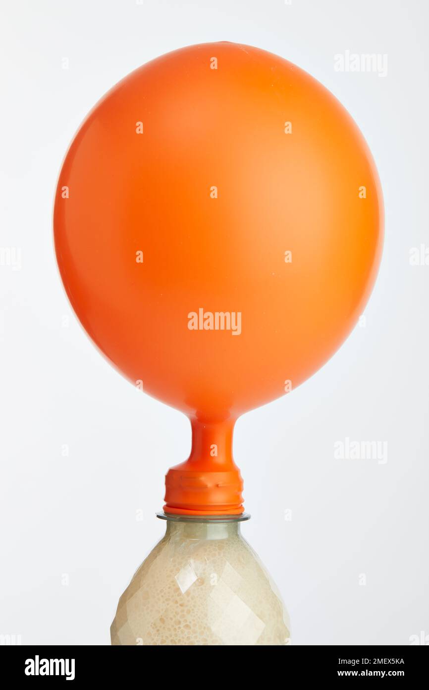 Experiment with yeast hi-res stock photography and images - Alamy