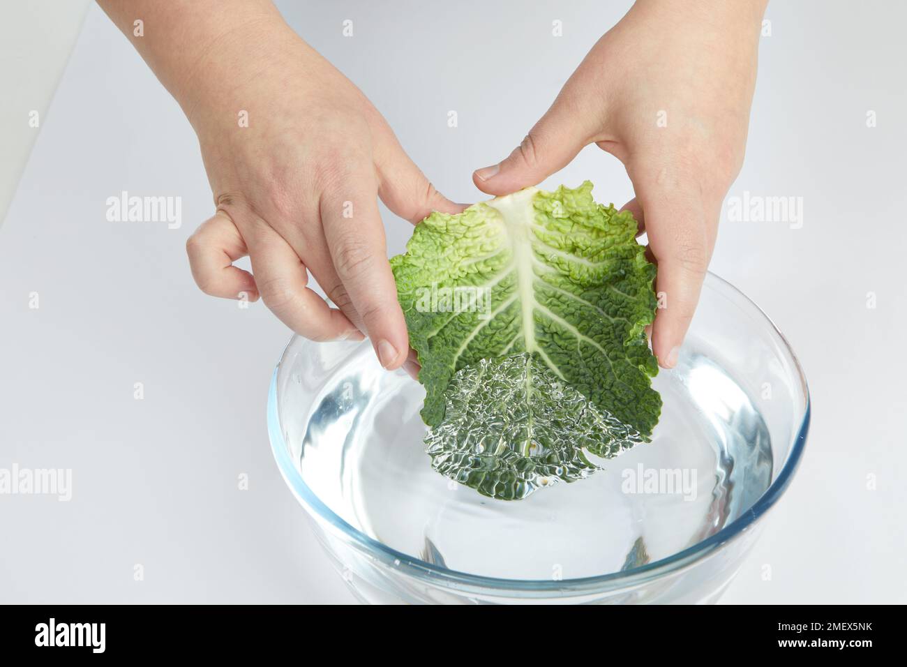 Leaf to eat hi-res stock photography and images - Alamy