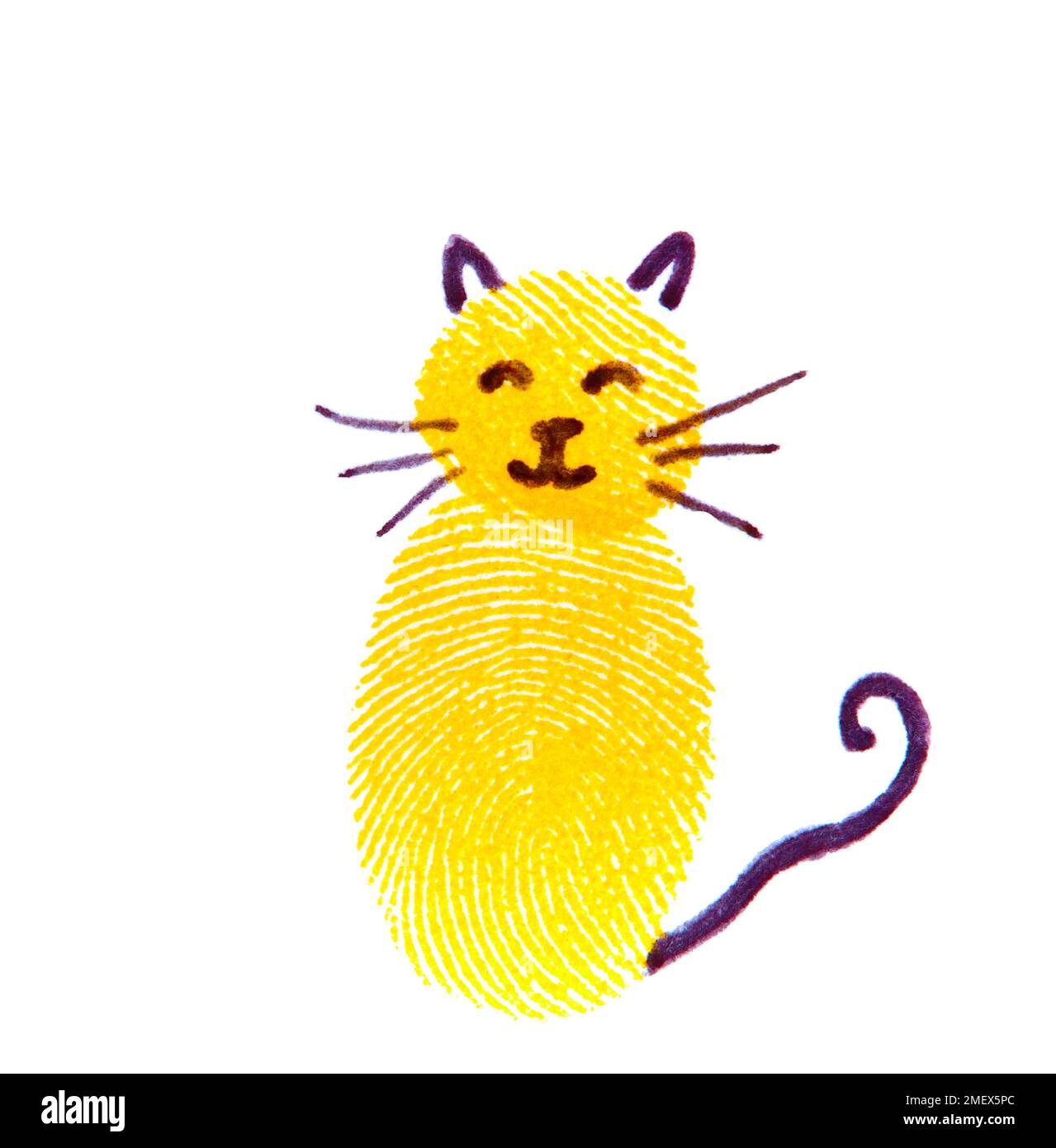 Colourful image of cat hi-res stock photography and images - Alamy