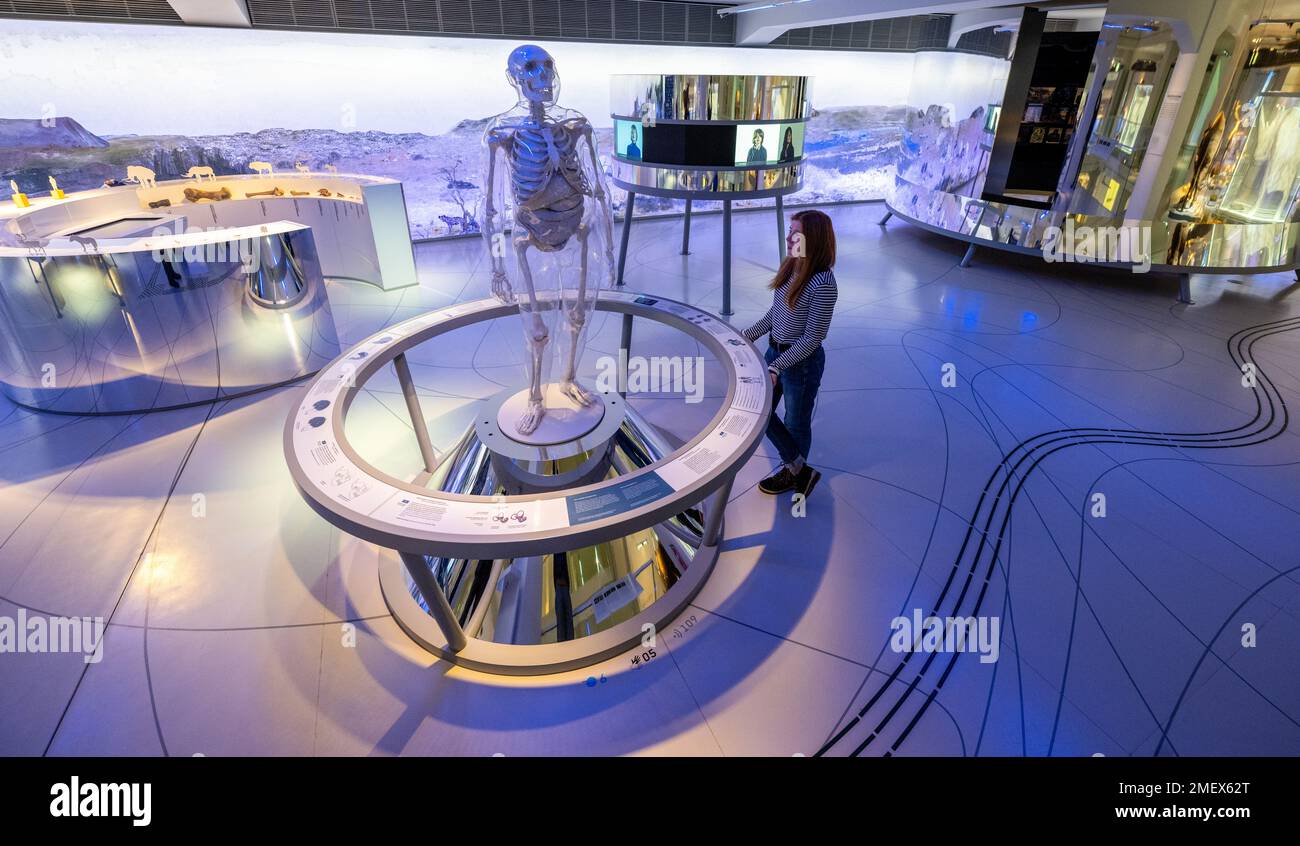 Neanderthal museum germany hi-res stock photography and images - Alamy