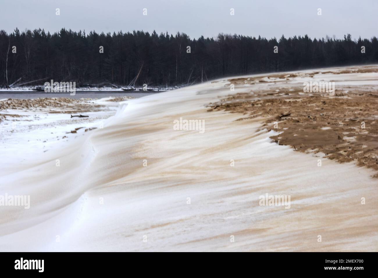 Sea sand with white snow, gray sky and dark green trees Stock Photo - Alamy