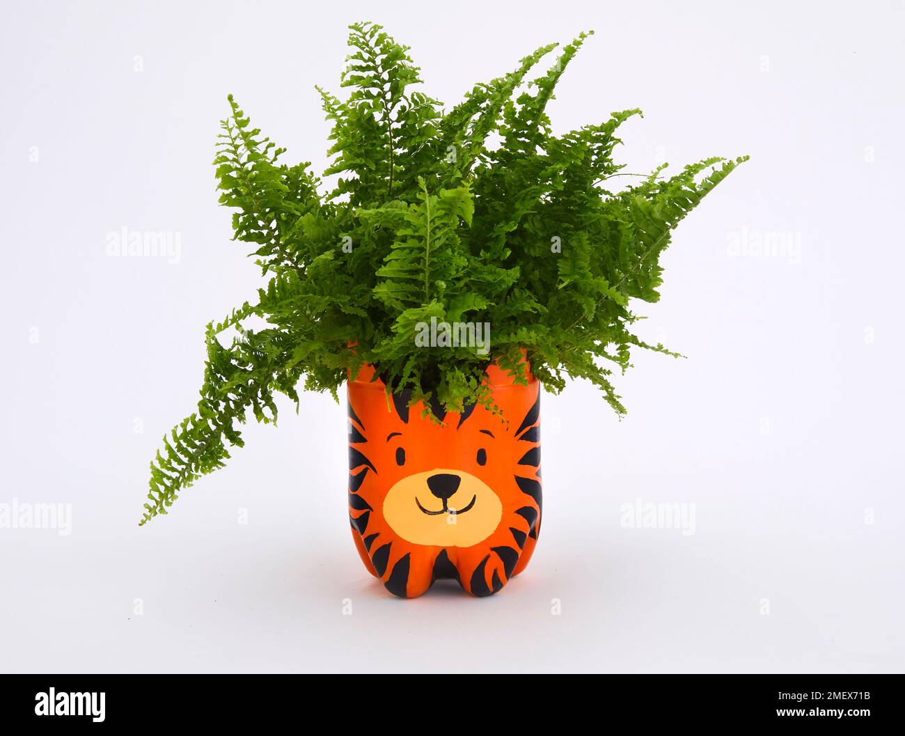 Bottle planters craft - Finished pots with plants - Tiger pot with fern ...